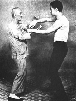 INSTITUTO LI HON KI ARGENTINA: ¿Qué es WING CHUN?