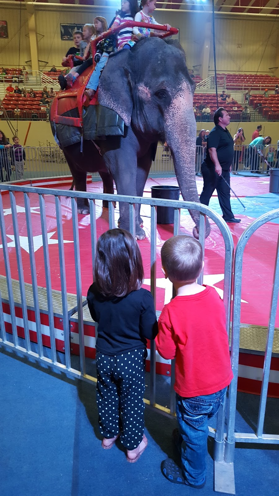 Triplets + Toddler: The Trio's First Circus - Oct. 15