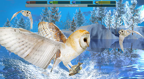 Ultimate bird simulator Apk