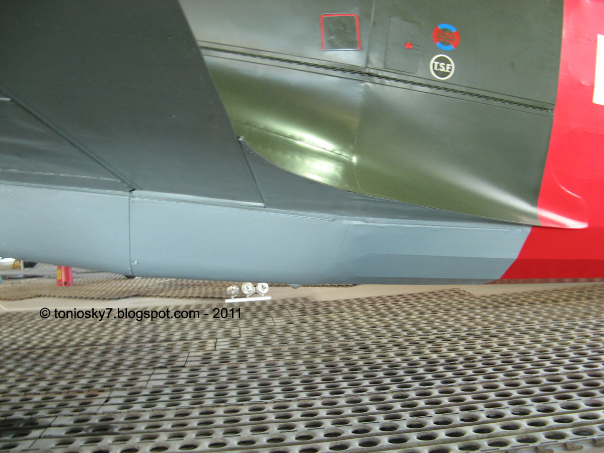 D-3801 Morane Saulnier MS 406 Walkaround