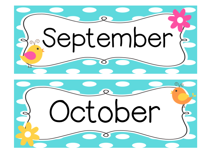 Classroom Decor & More: A Little Birdie Told Me So Theme