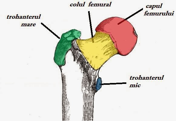 Angel Blue: ianuarie 2014