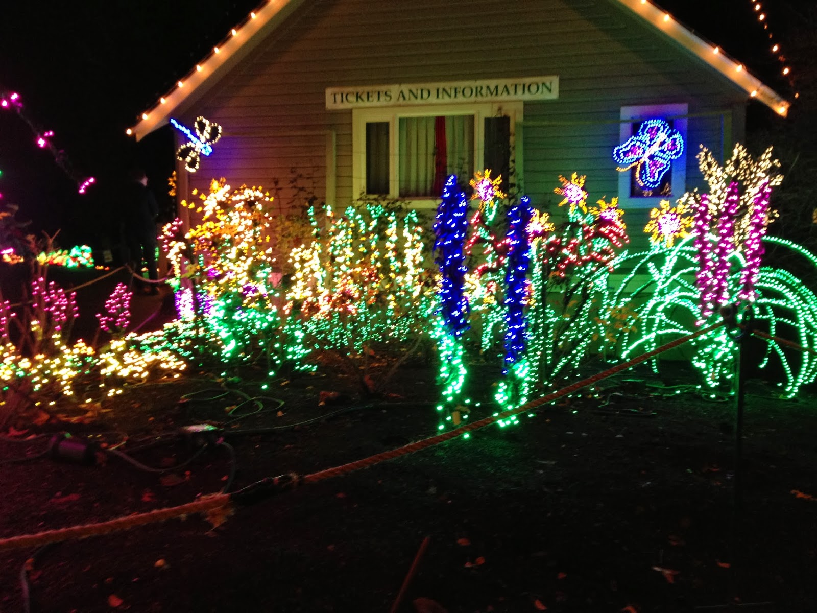 Western Washington Families : Garden D'Lights at the Bellevue Botanical ...