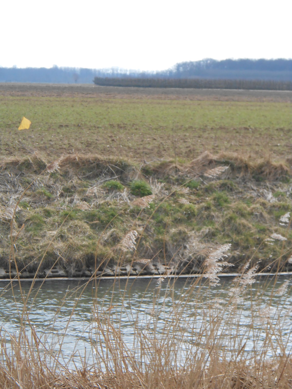 WWAWWW: Kromme Rijn Route