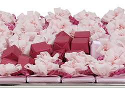 Travel Adventures with Barbara