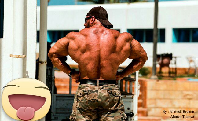 Worldwide Bodybuilders: Egyptian bull god Anwar Saif El Sayed