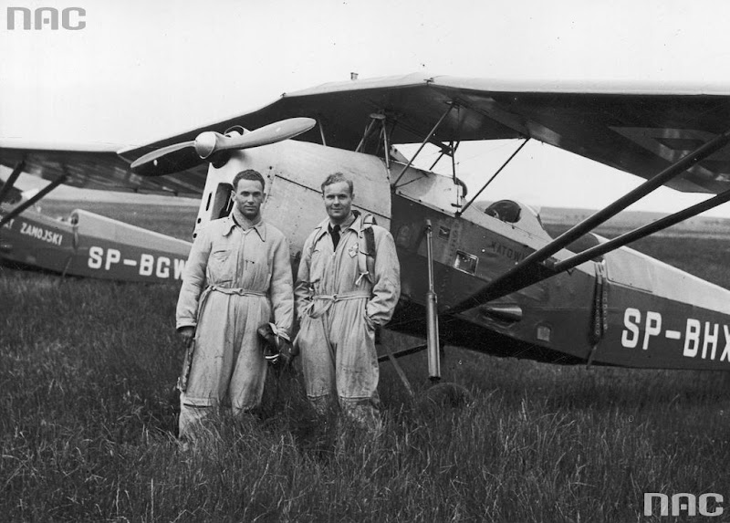 Modelowisko: Debiutancki RWD-8