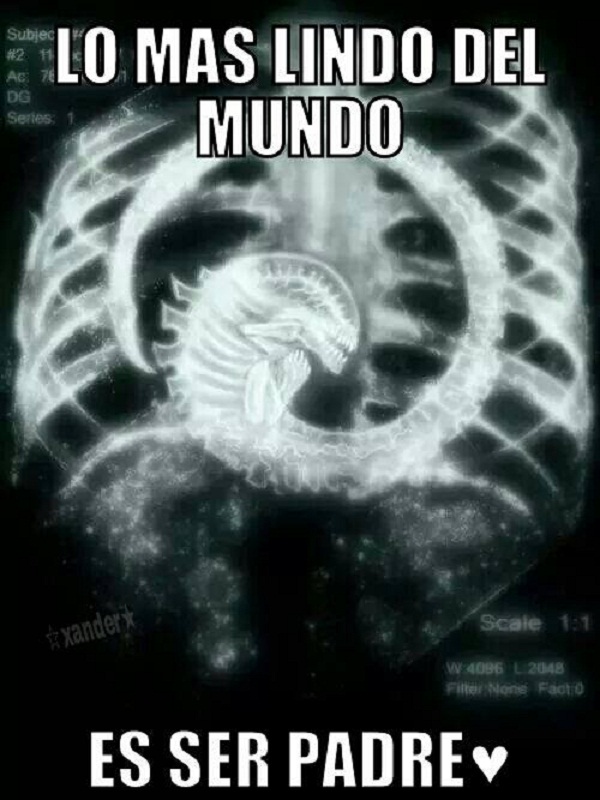 Nuevos Memes: Lo más lindo del mundo