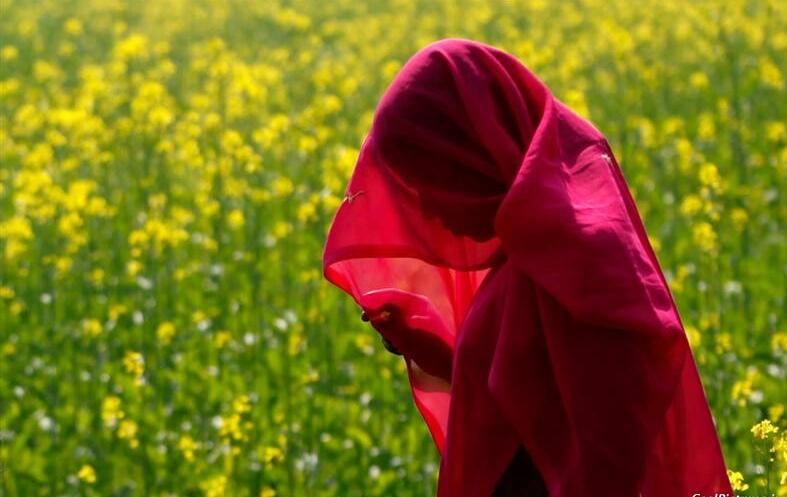 My Sweet India: The Colors of India