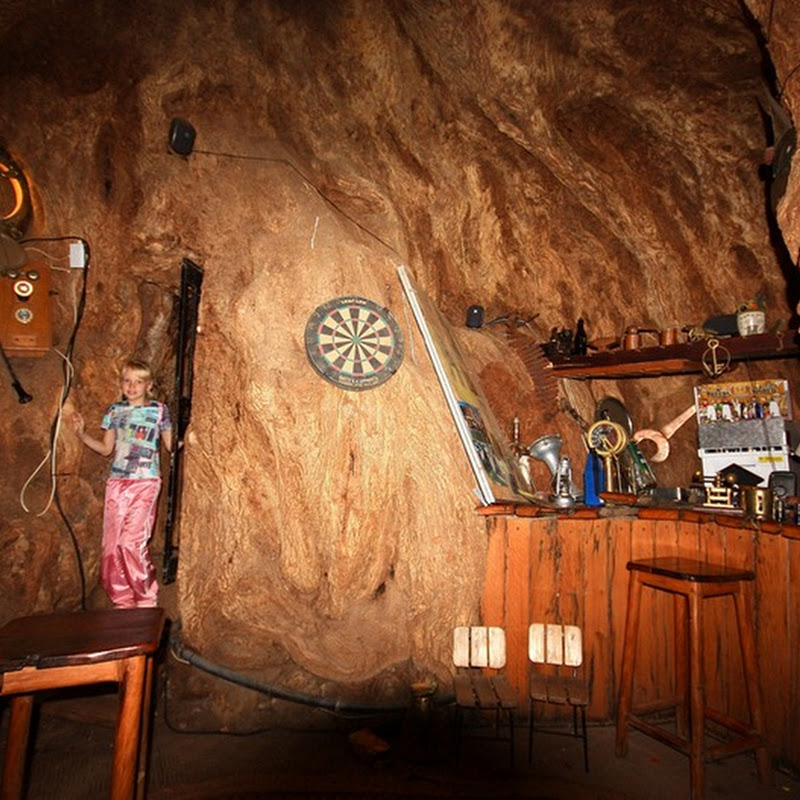 Sunland Baobab Pub, un bar en un árbol con 6.000 años de edad - Nomada Q
