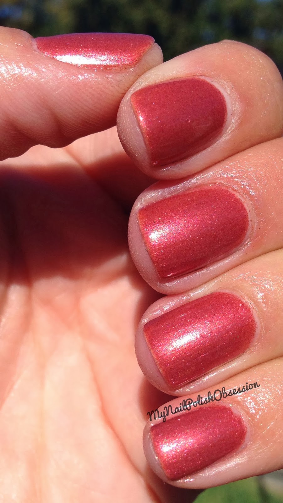 My Nail Polish Obsession: Down the Bayou Lacquer: Sweat Gold, Crawfish ...