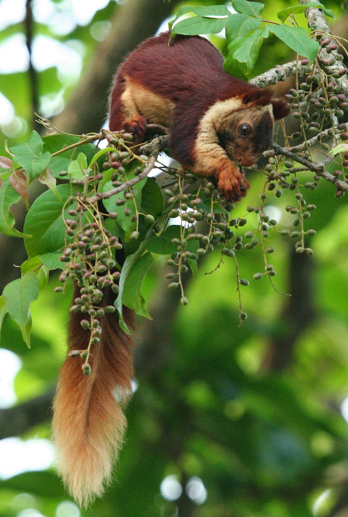 Education for Change