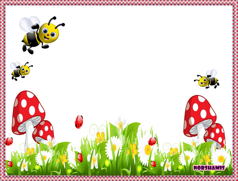 Nor Shamis: FRAME UNTUK DIKONGSI