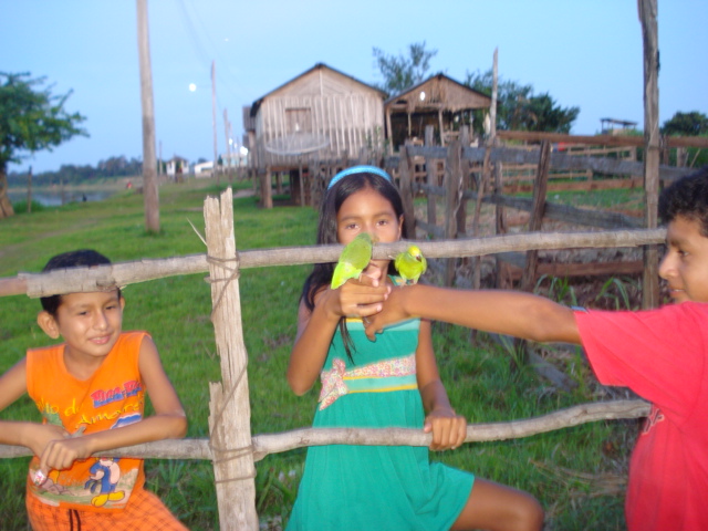 Espaço Pólis : Povos Ribeirinhos do Amazonas - Contexto Histórico e ...