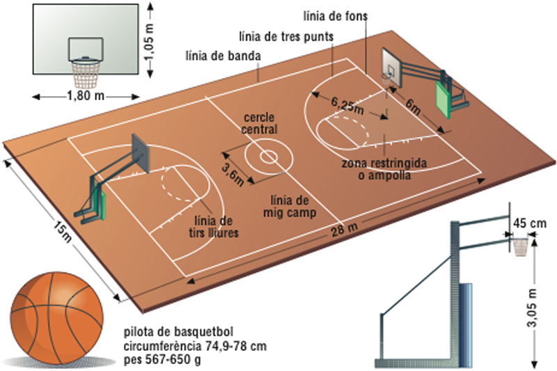 PHYSICAL EDUCATION: BASKET