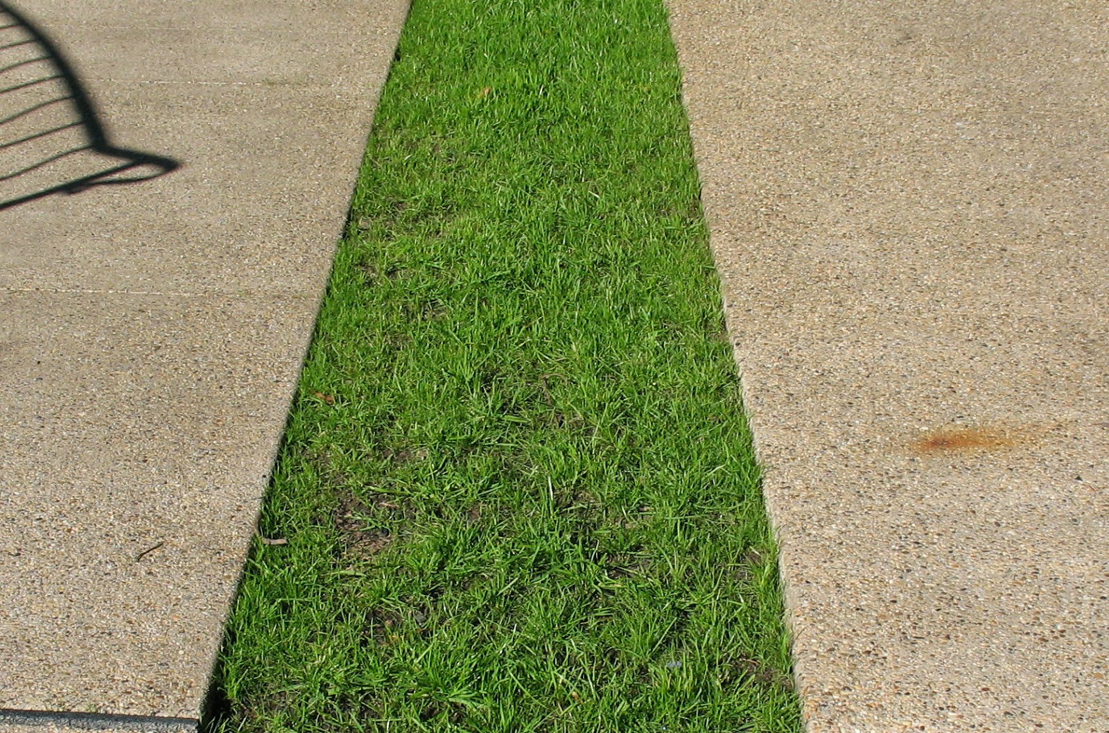 Scott's Landscape Blog: Autumn -- Endings and Beginnings