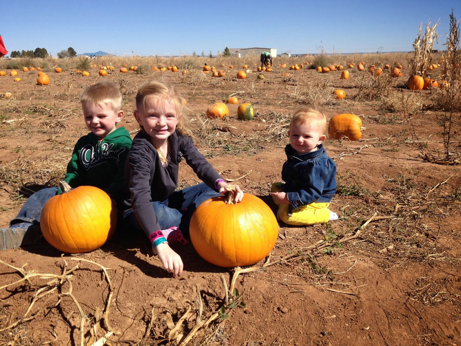 Pumpkin Bowling Halloween Party Game - I Dig Pinterest
