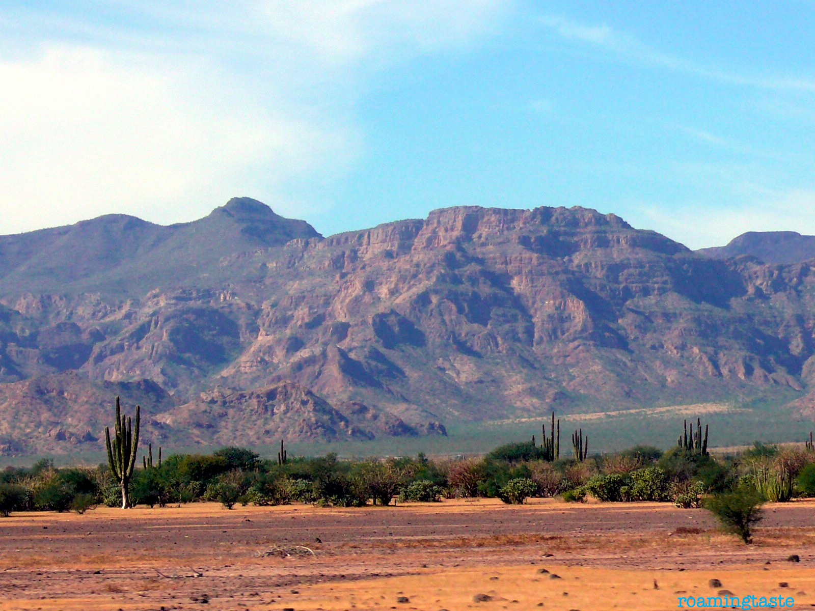 Drinking Horchata | roamingtaste