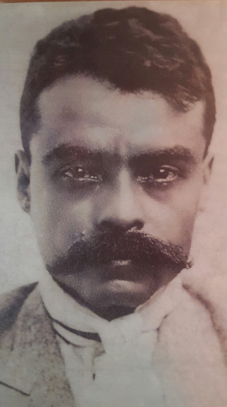 Drinking with Ghosts: African writer Michael Schmidt's works: The Salsa ...