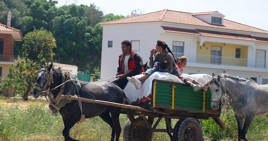 PORTUGAL SLAUGHTERED MILLIONS IN THEIR COLONIES: Portugal is not Luso ...