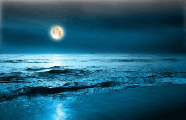 GIFS ANIMADAS PARA SEU BLOG OU SITE - O meu cantinho encantado: Gifs de mar