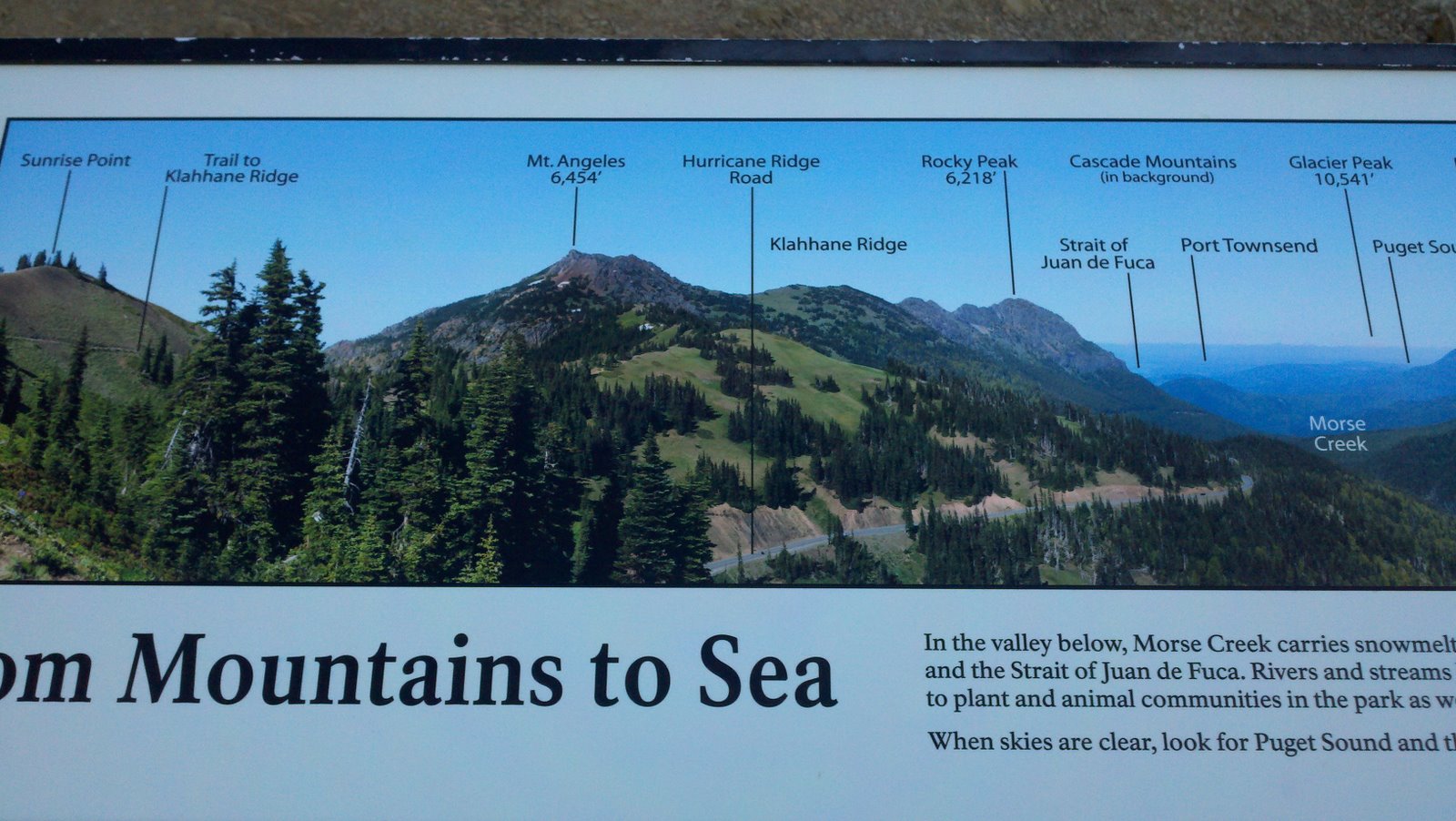 Off on Adventure: Hurricane Ridge - 8/13/11