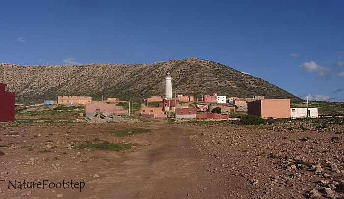 NatureFootsteps Travels: 121111 Morocco Day 2 Sunday, Birding our way ...