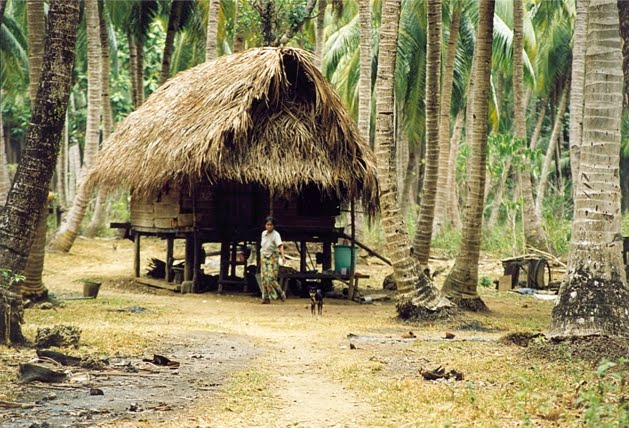 THELIGHTOFANDAMANS: COVER STORY: Harminder Bay Nicobarese Settlement ...
