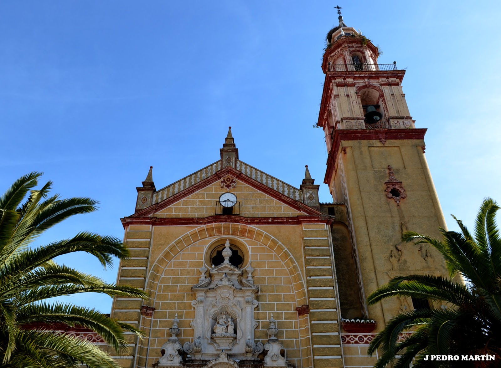 ALGODONALES - J PEDRO MARTÍN
