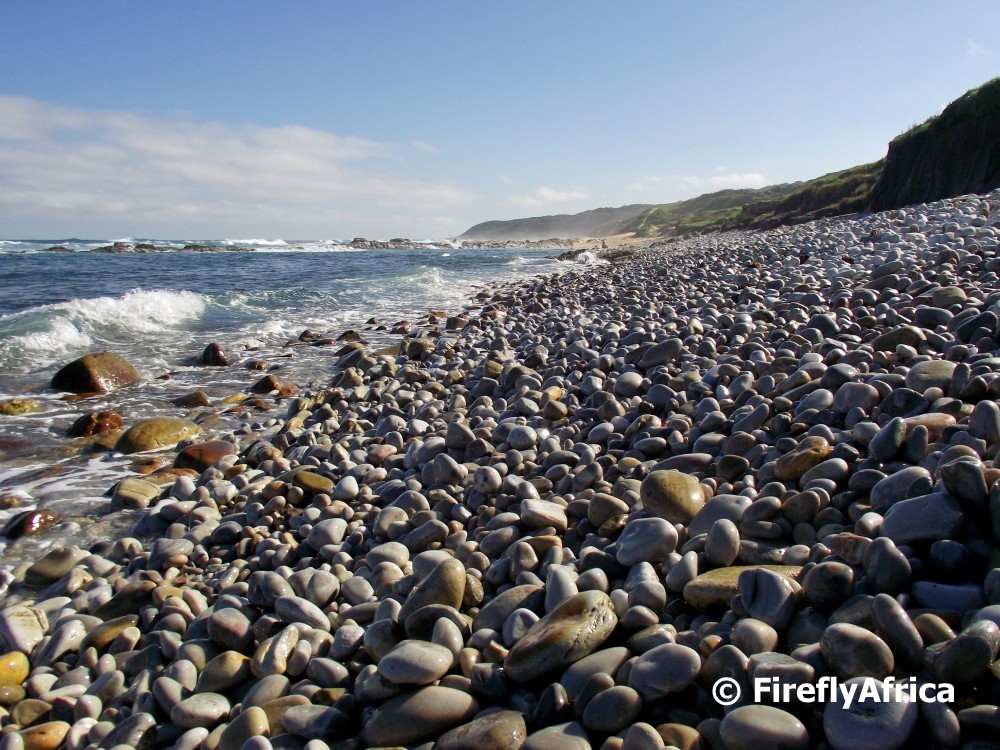 Port Elizabeth Daily Photo: Cobble Beach