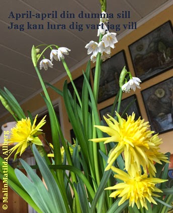 Lyckans smed - Samtidigt i MalinMatildas hjärna: Varför luras vi på ...