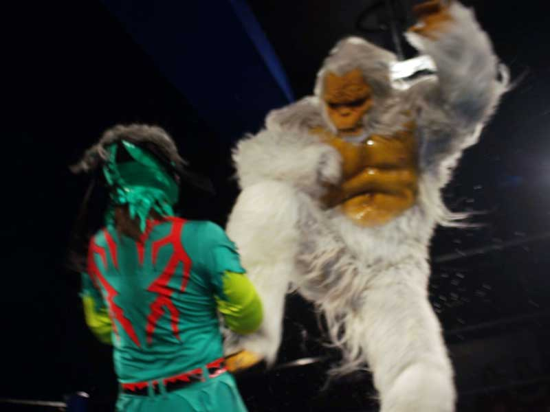 I Loved the Yeti: [Destination: Japan] Pro-wrestling 2