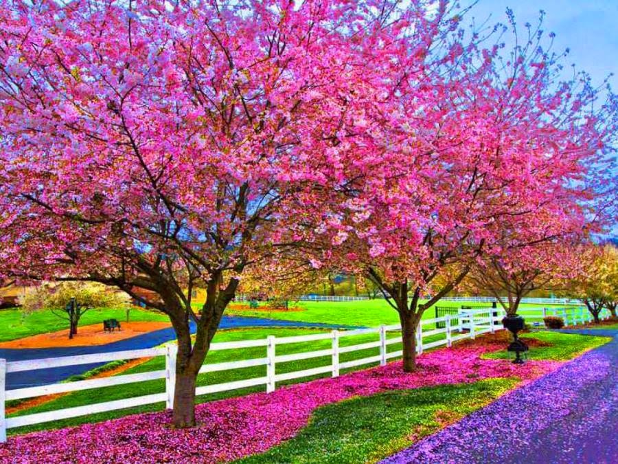 My Delicious Memory of Life