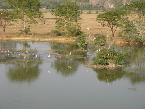 Caving in SE Asia: Myanmar - Kyauk Kan Latt lake pagoda