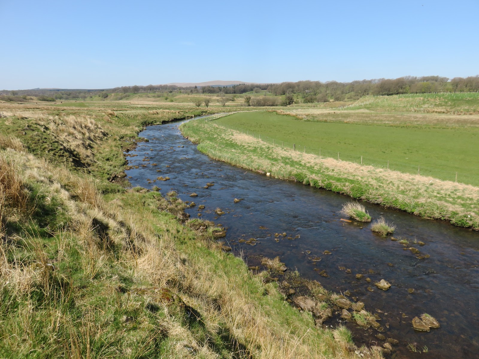 Desmondo's Ramblings: River Ayr Way Muirkirk - Sorn