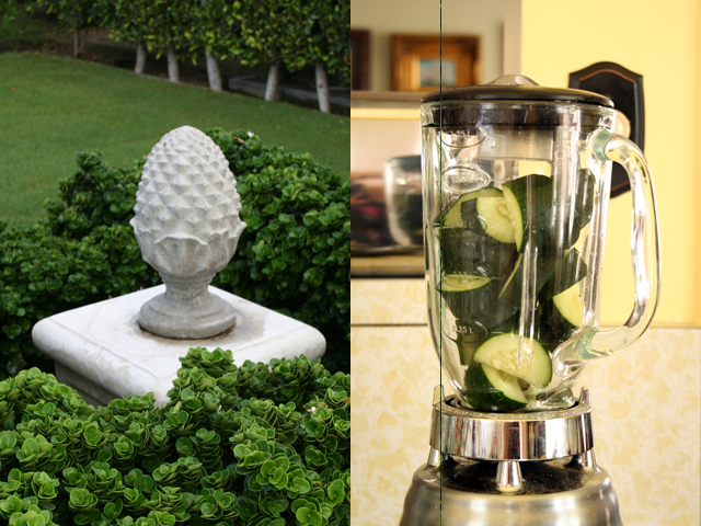 Baking Bird Test Kitchen: Summer Spa Popsicles!