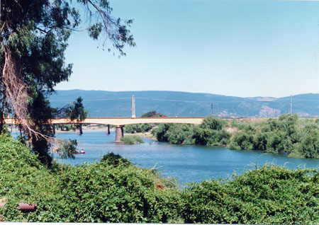 Diario Virtual Luiseeses Experto en estadisticas deportivas en general ...