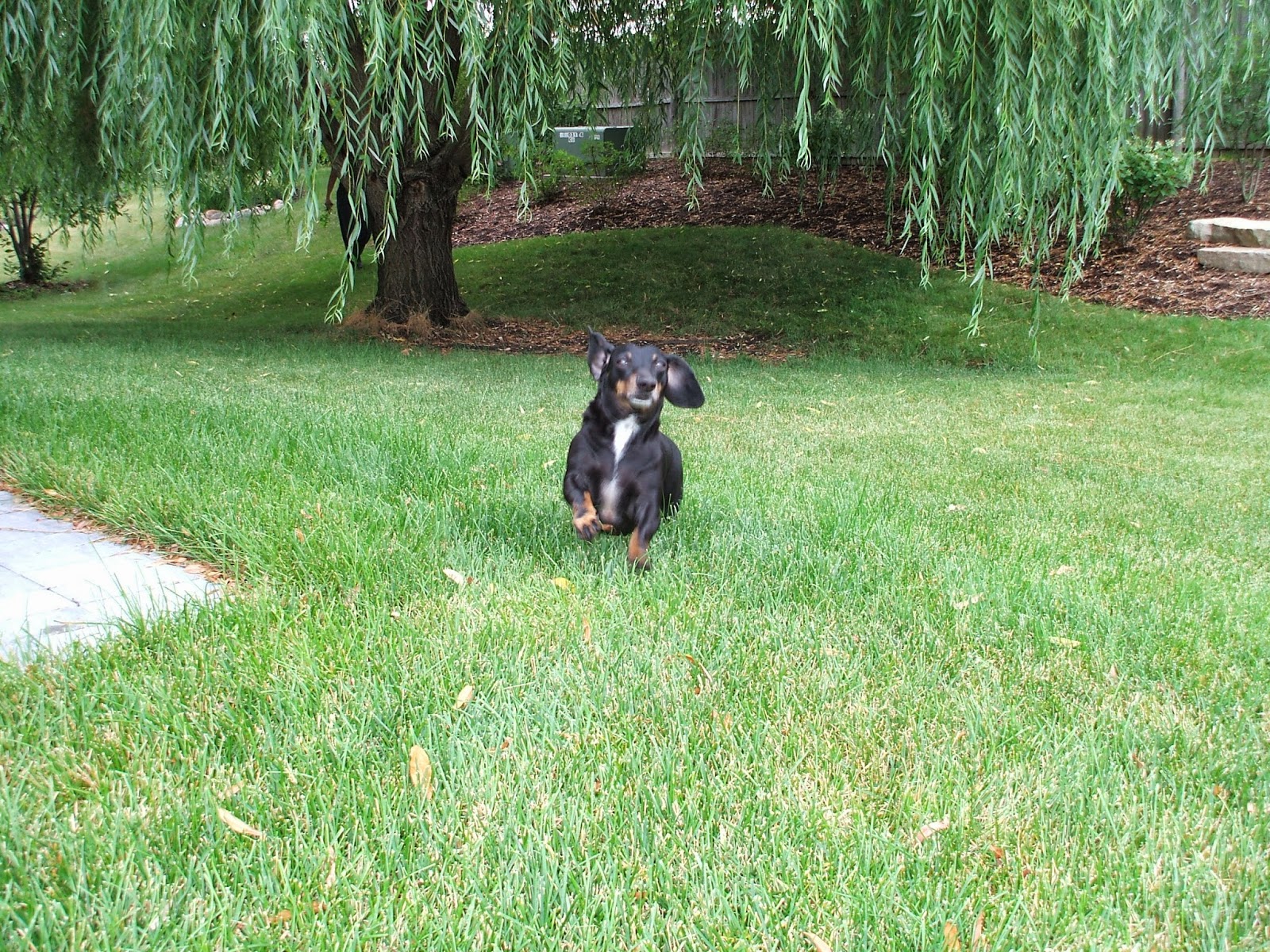 The Slav's Baseball Blog - BASEBALL 24-7-365: Experts Pick 5 Most ...