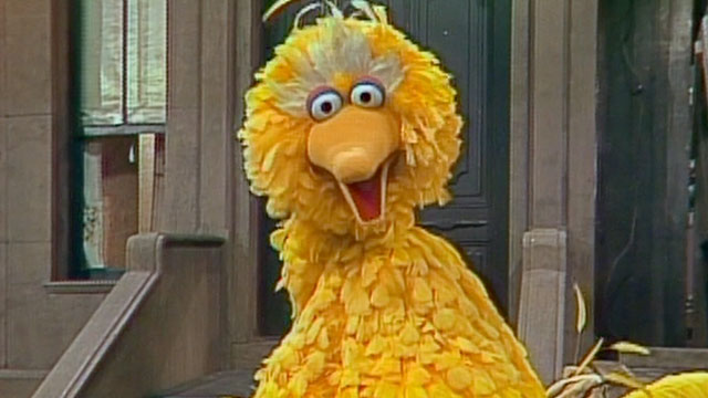 The Last Thing I See: 'I Am Big Bird' Movie Review