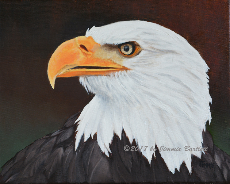 Jimmie's Art: Eagle Eye, original oil painting