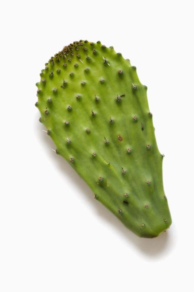 Regula la actividad metabólica.