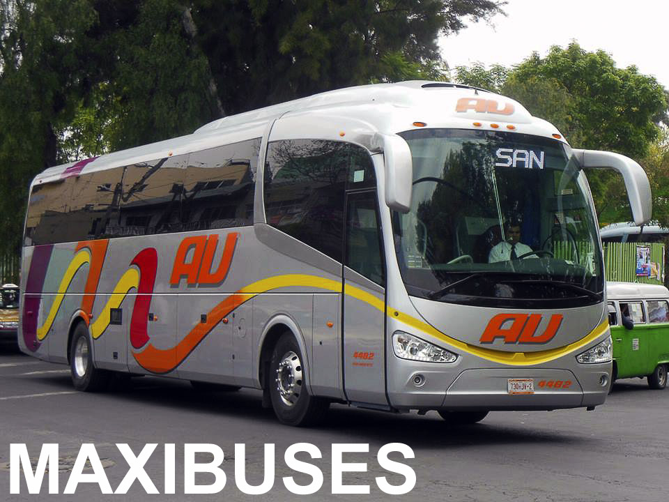MAXIBUSES: AUTOBUSES UNIDOS (AU)