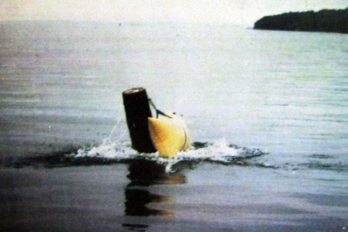 The Agatelady: Adventures and Events: Timeless Timber Reclaimed Ancient ...