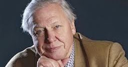 David Attenborough considera os seres humanos uma praga | Ciência ...