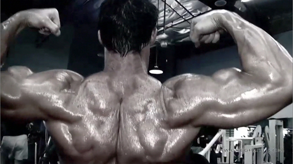 WORKOUT INSPIRATION .NET: Greg Plitt: The Leg Up Workout