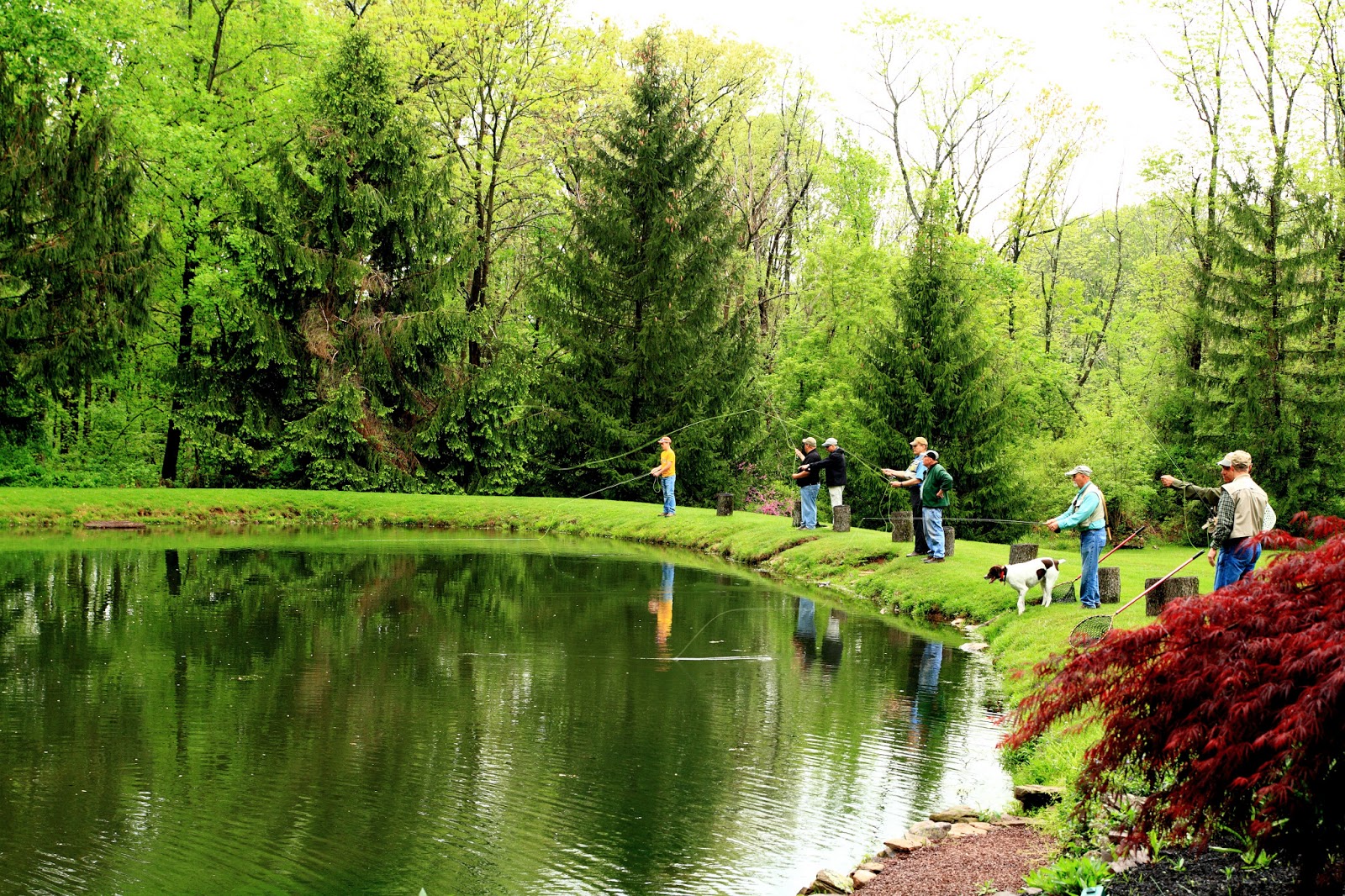 Monocacy Chapter of Trout Unlimited #491: Private Pond Outing