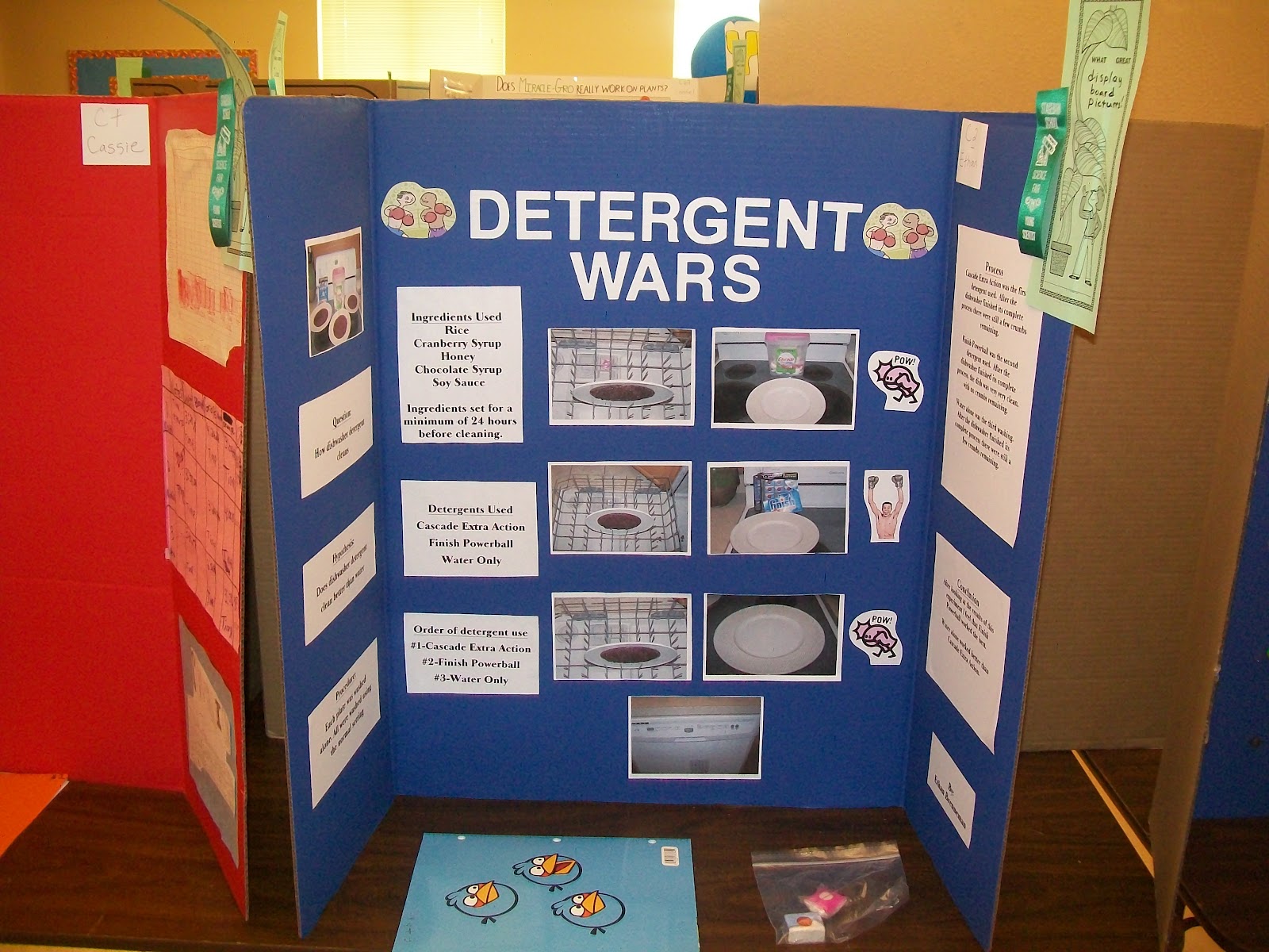 Project Fair - Science Fair, ABCs of the US, Biographies, Book Covers ...