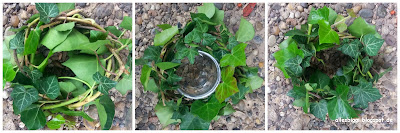 alles biggi!: Tutorial: Efeukranz und Upcycling-Windlicht