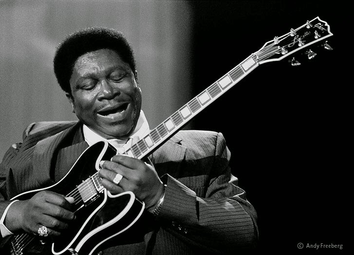 Purple Finch Skin Care: Les Paul