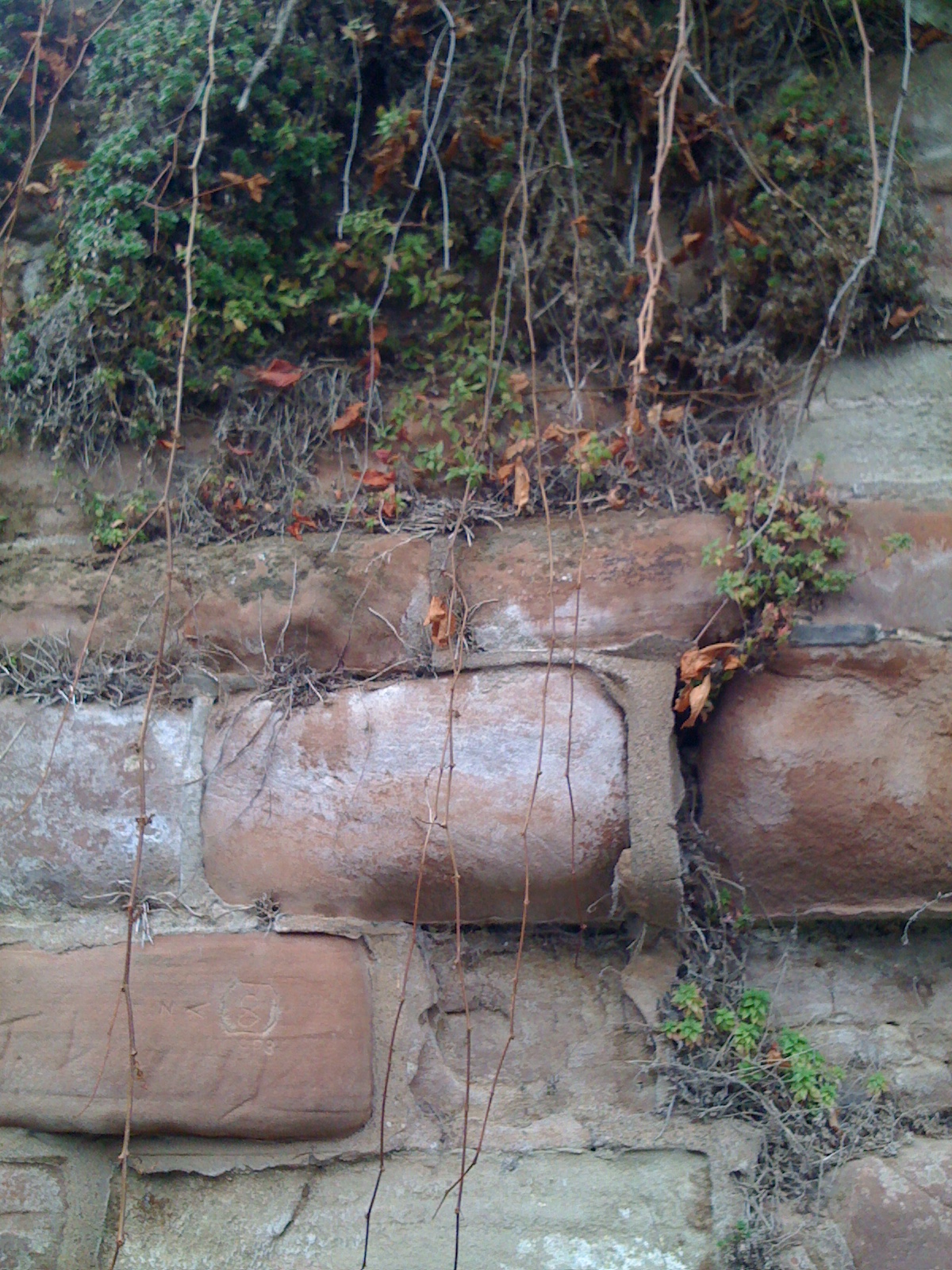 Jane Lane and the Royal Miracle: September 3, 1651 - The Battle of ...